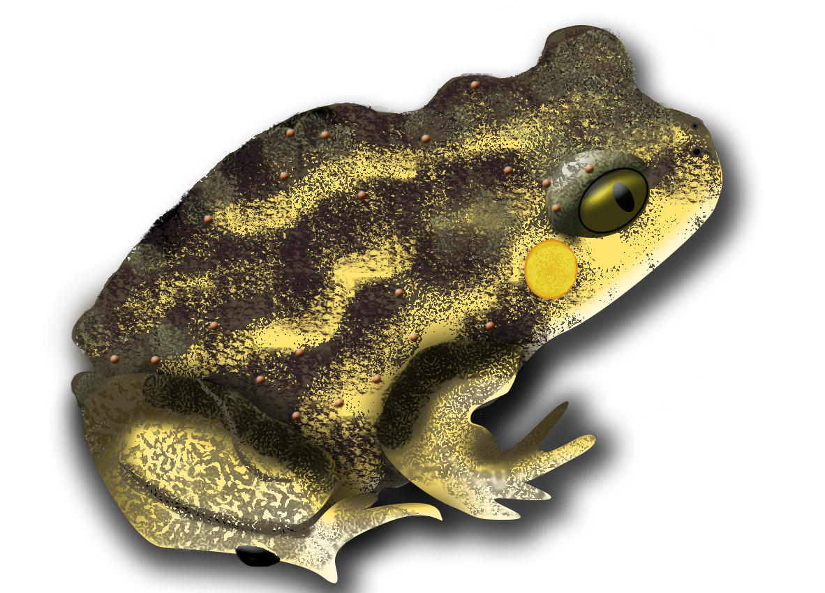 Frogs INHS Environmental Education frogs-inhs-environmental-education