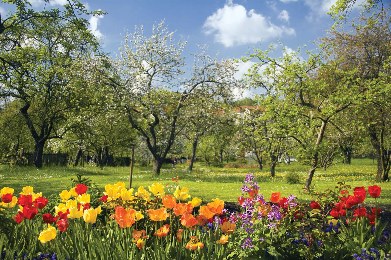 Maximize Your Spring Plan Ahead For Summer Pre Law Advising Maximize Your Spring Plan Ahead For Summer Pre Law Advising