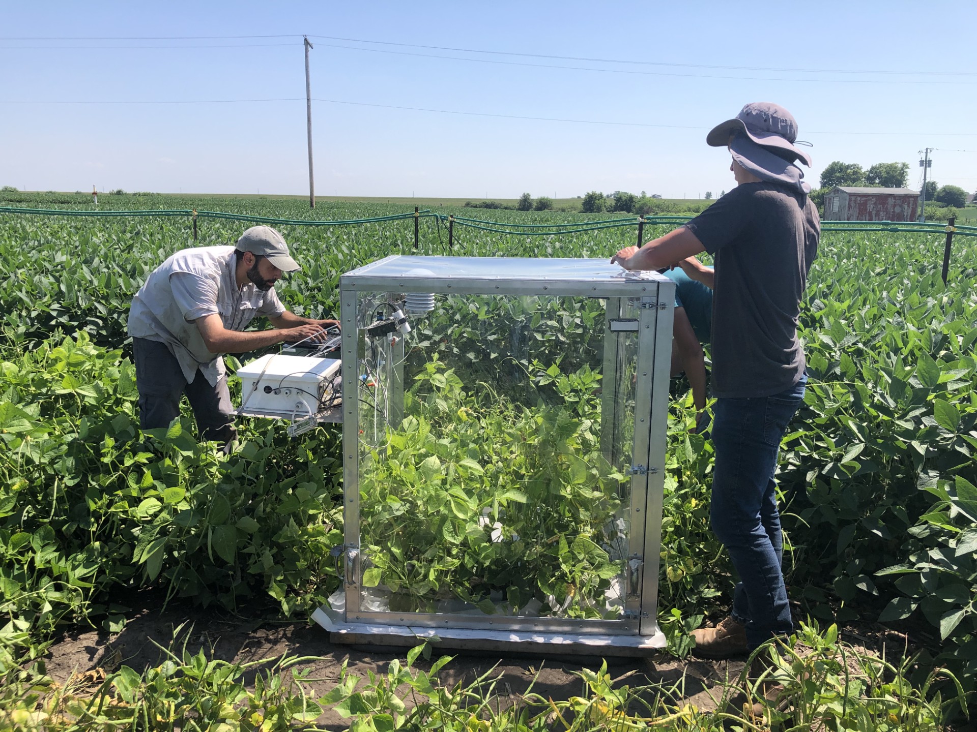 Research – Lisa Ainsworth's Laboratory