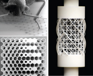 Bioinspired Design Framework – Alleyne Bioinspiration Col-LAB-orative ...