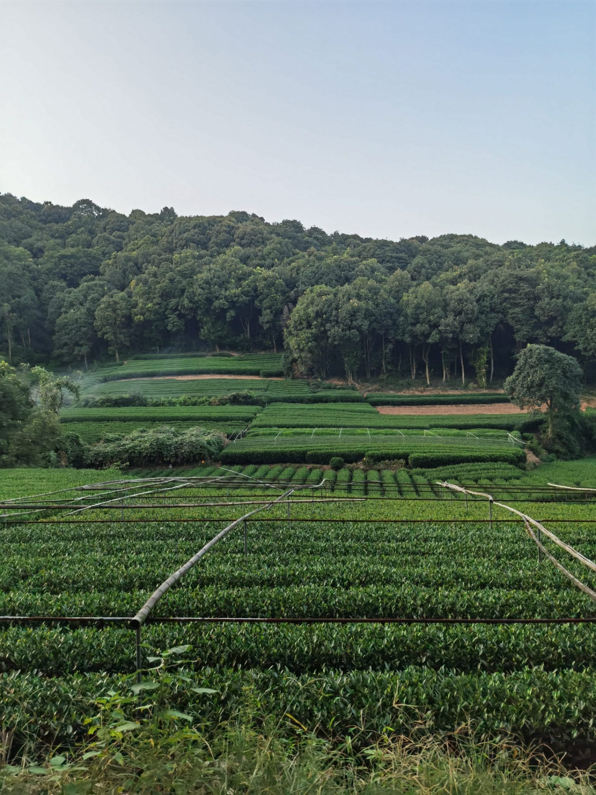 November 2021 – Alvin Zhao’s Creating Space