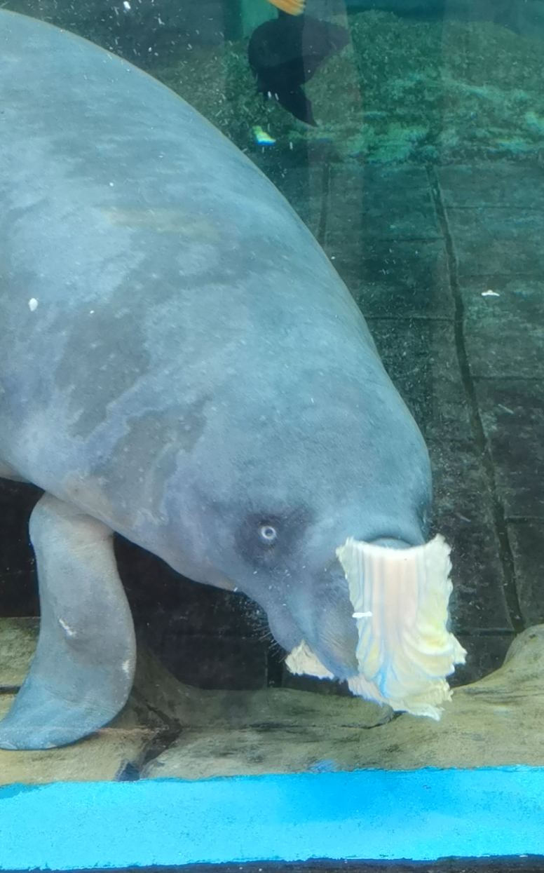 Alvin Zhao’s Creating Space – A publish.illinois.edu site