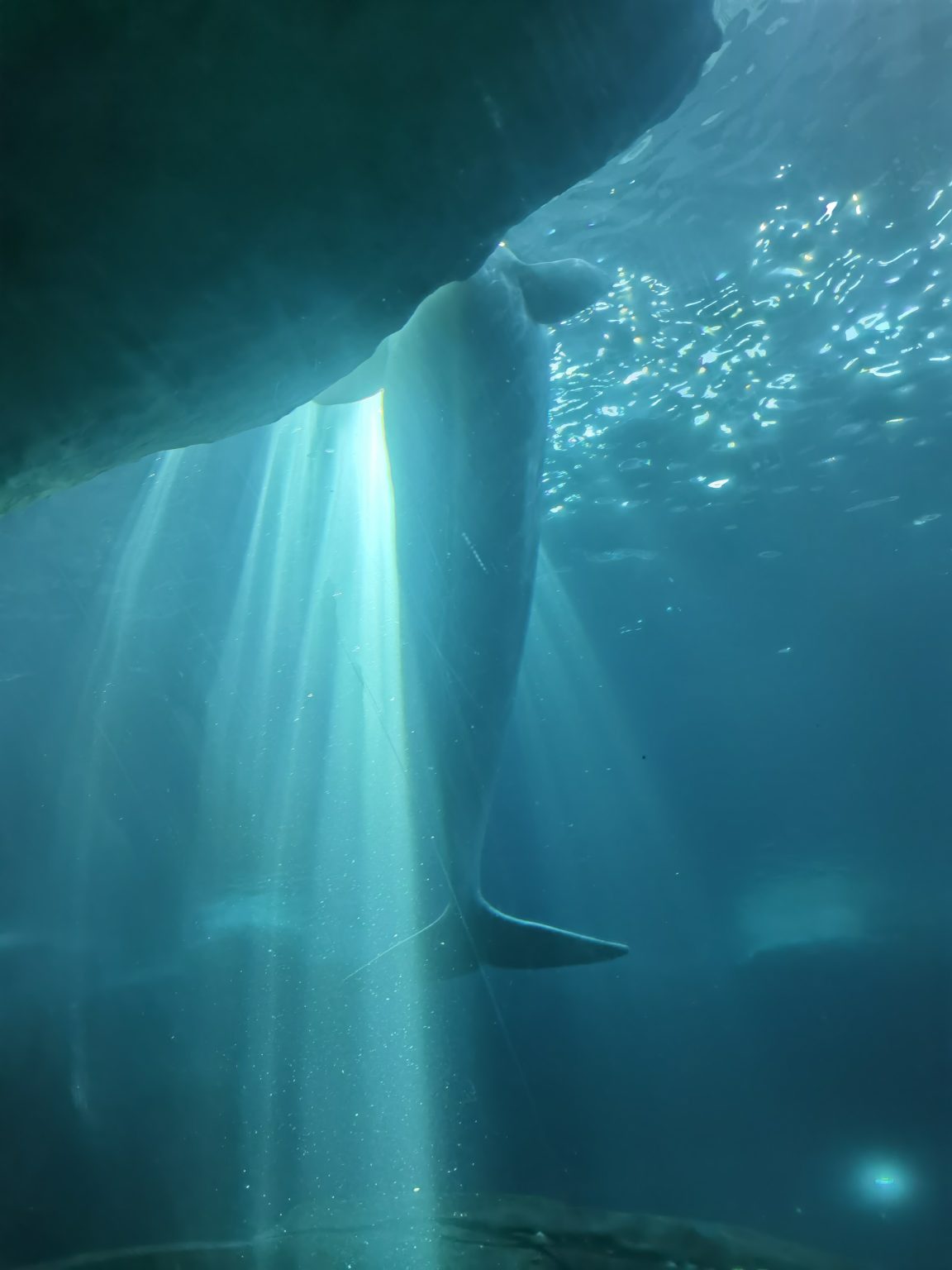 Copyright Reflection – Alvin Zhao’s Creating Space