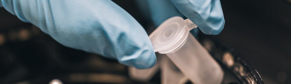 Lab Members | Developmental Neuroimmunology Laboratory