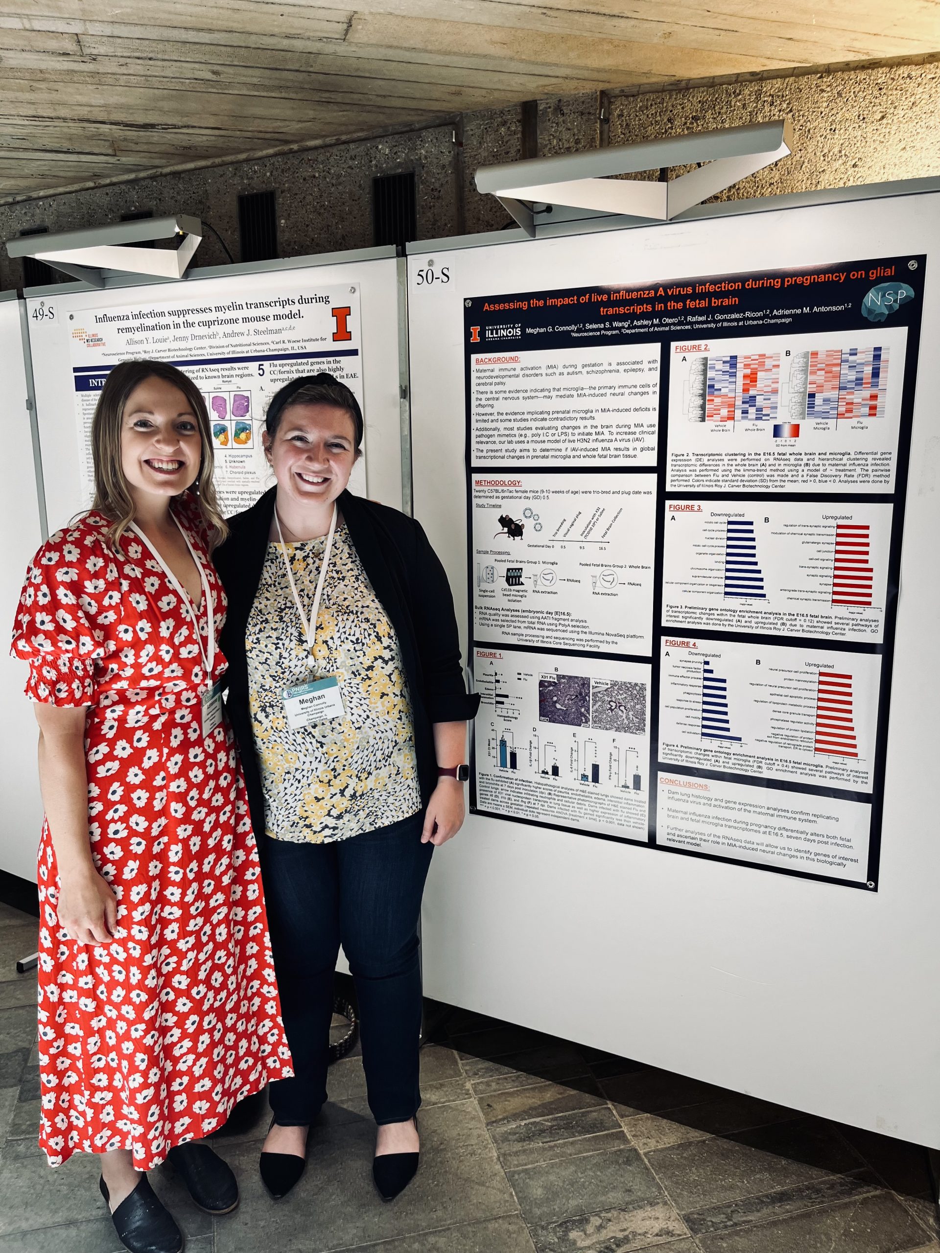 Lab Fun! – Antonson Developmental Neuroimmunology Laboratory
