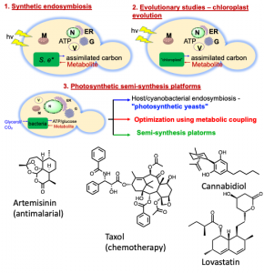 Research | Mehta Lab - University of Illinois at Urbana-Champaign