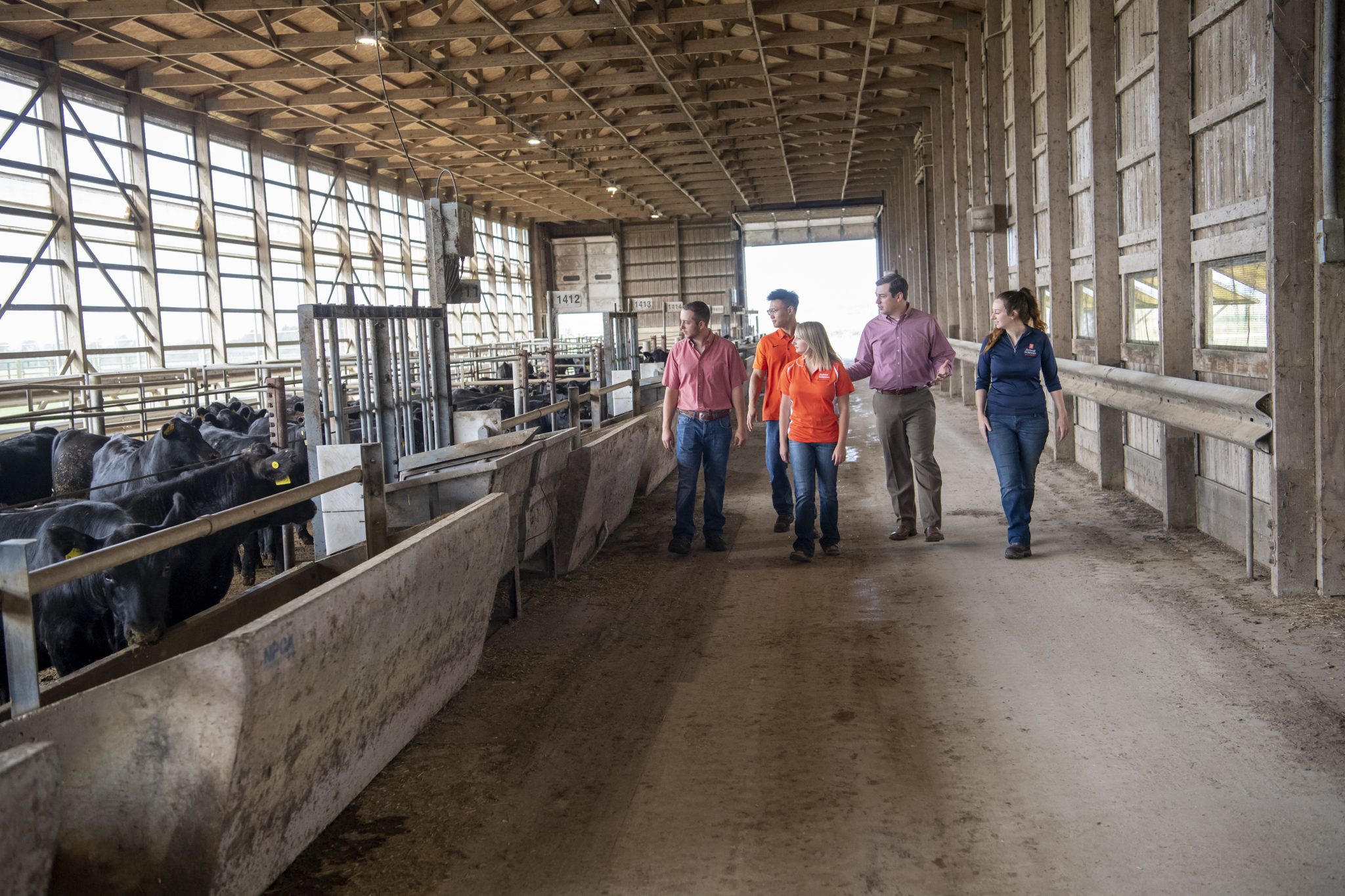 Beef Cattle Nutrition