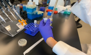 Lab 3 – Step 16A | BIOE202 Cell and Tissue Engineering Lab - University ...