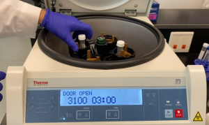 Lab 3 – Step 23 | BIOE202 Cell and Tissue Engineering Lab - University ...
