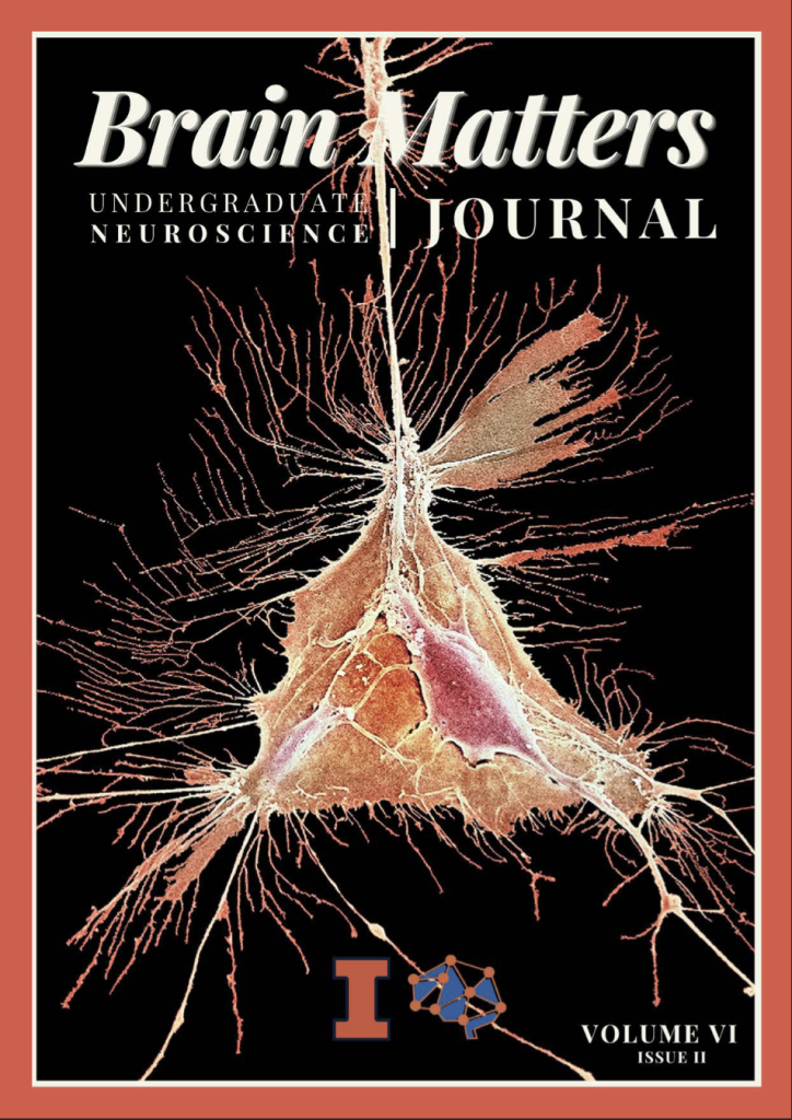 Recent Issues | Brain Matters | Illinois