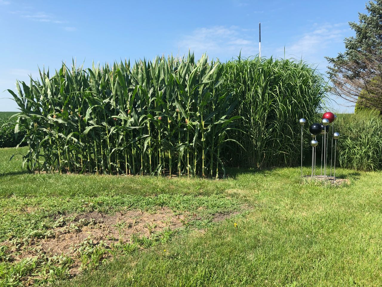 Eric Rund Farm Visit | CAEP Explorer Course 2018 - University of ...
