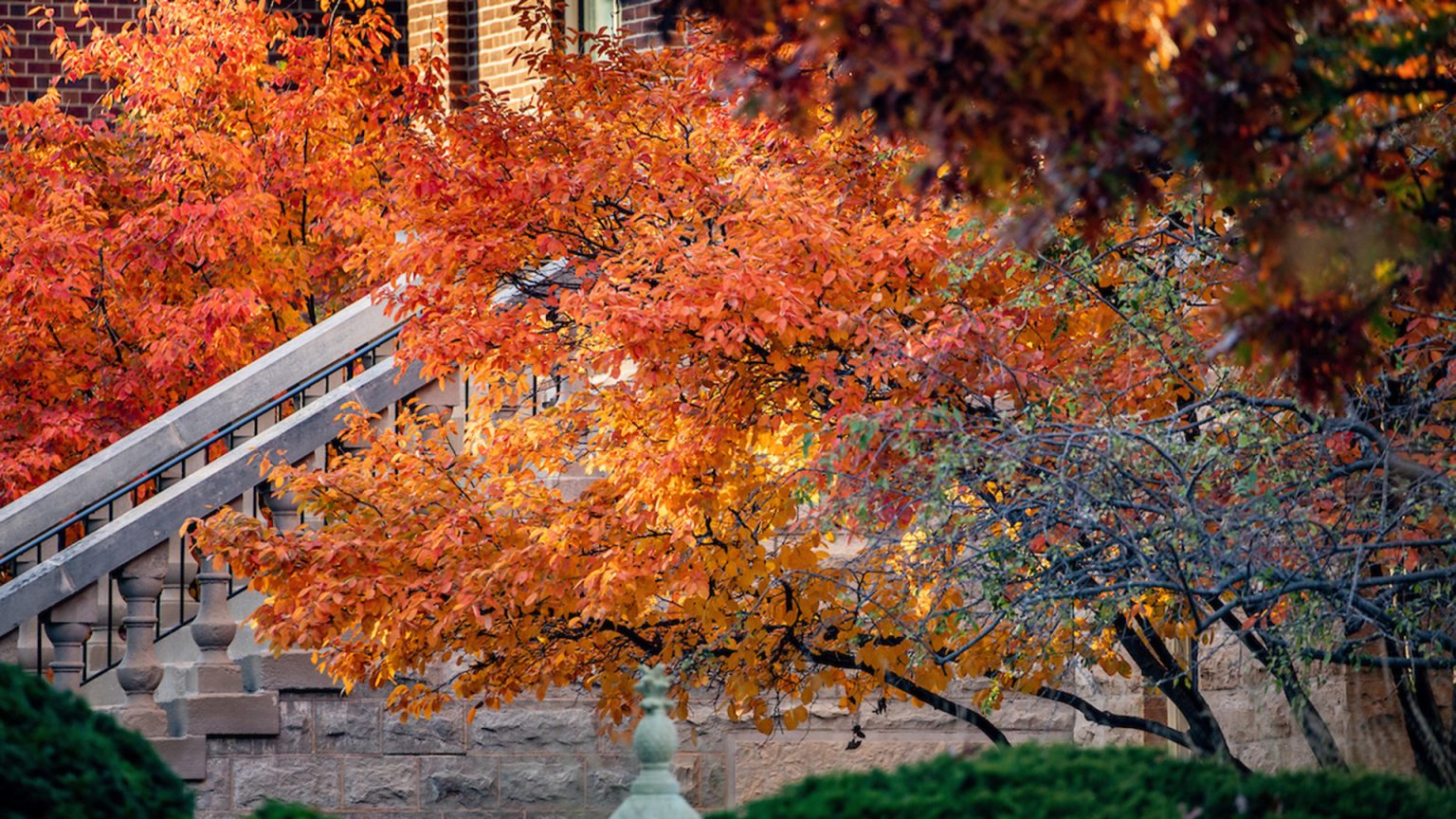 Report – All Campus Climate Assessment