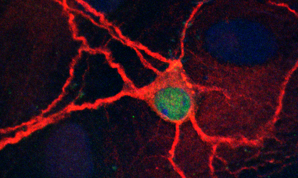 People – Ceman Lab