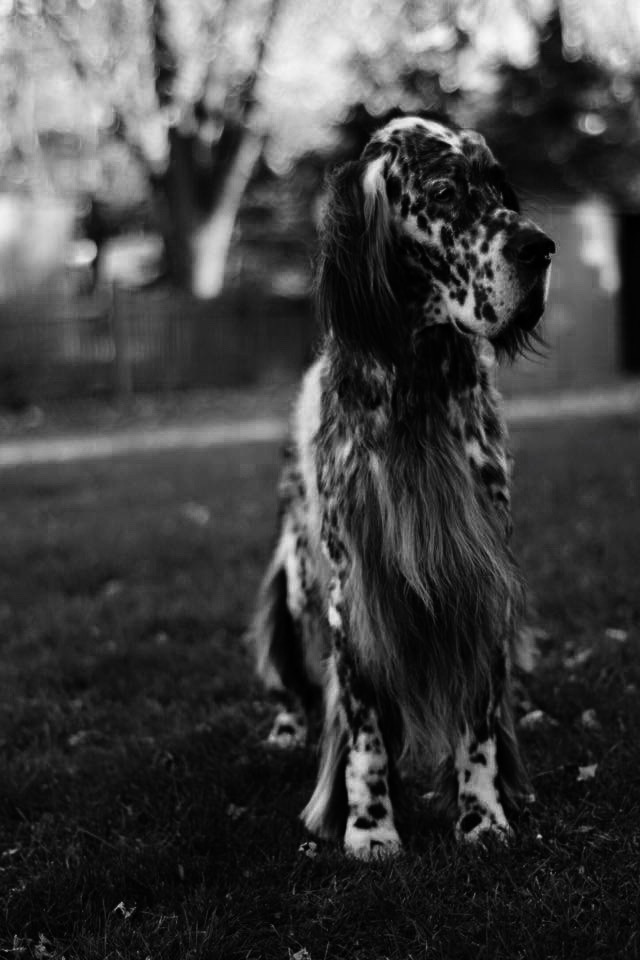 6 Photo Project – Belczak's Blog