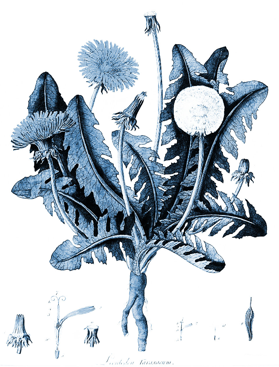 Climate and Crisis, 1660-1820 – A publish.illinois.edu site