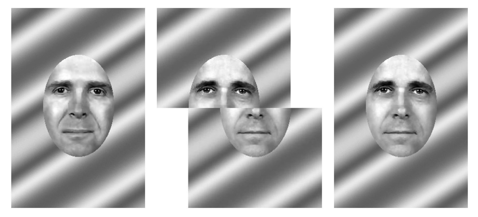 Cognitive Decision Making Lab » Research