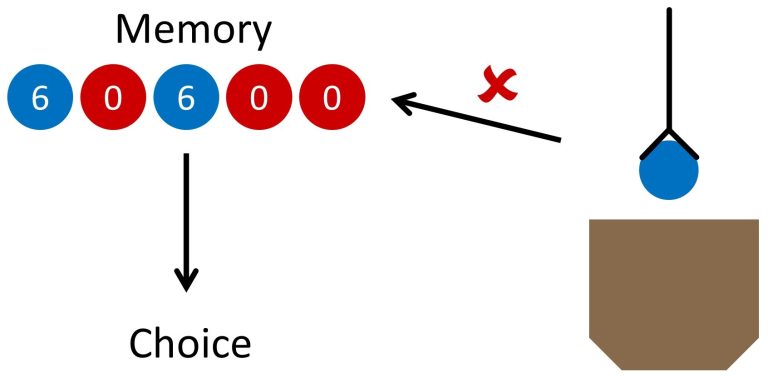 Cognitive Decision Making Lab » Research