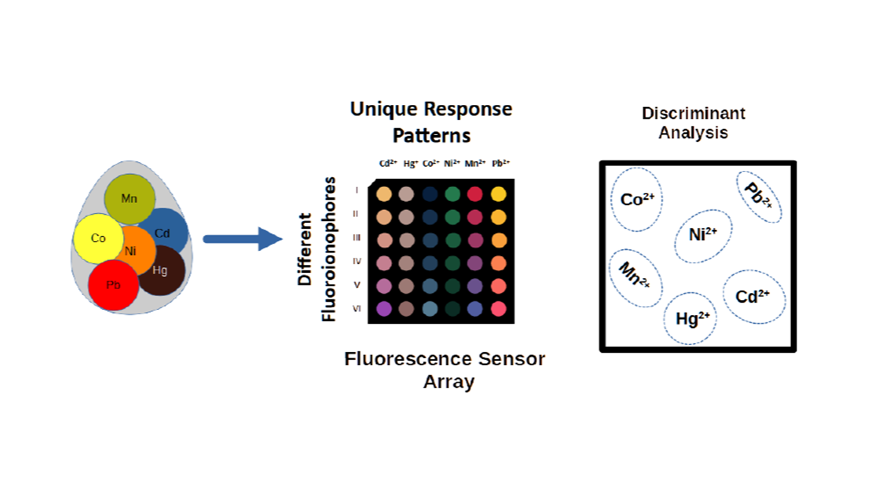 ACHIEVE Project – Computational Hydrology for Decision Support