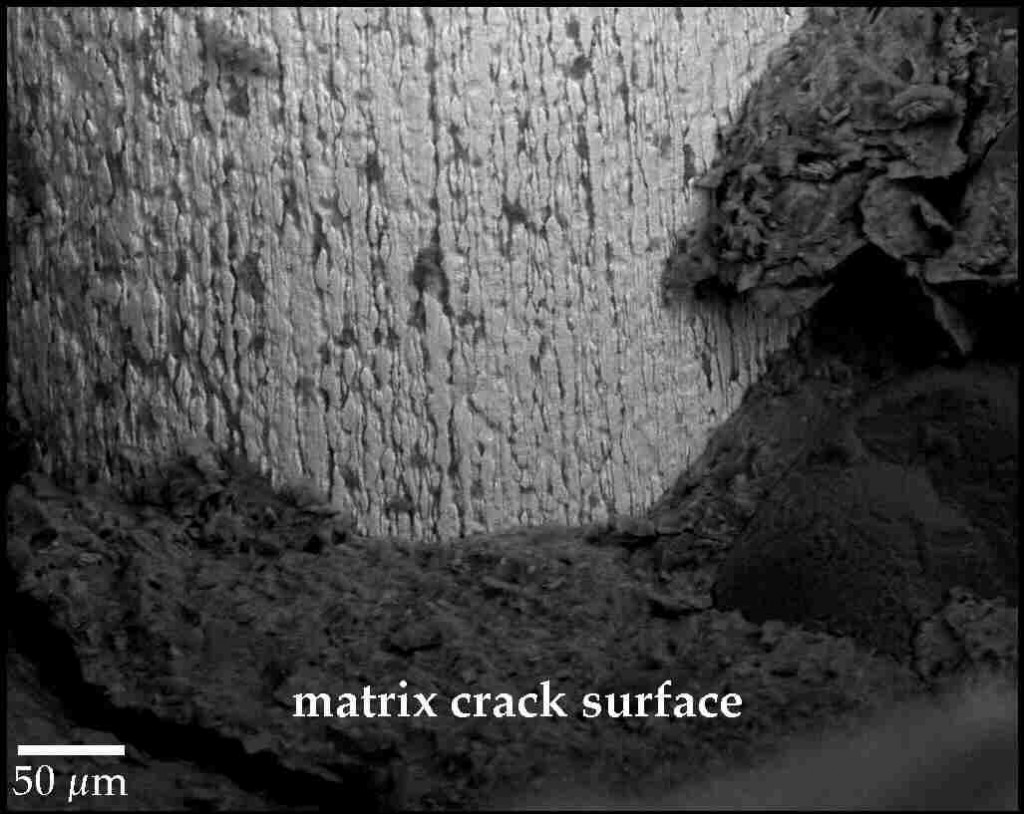 FRC | Concrete Microscopy Library - University of Illinois at Urbana ...