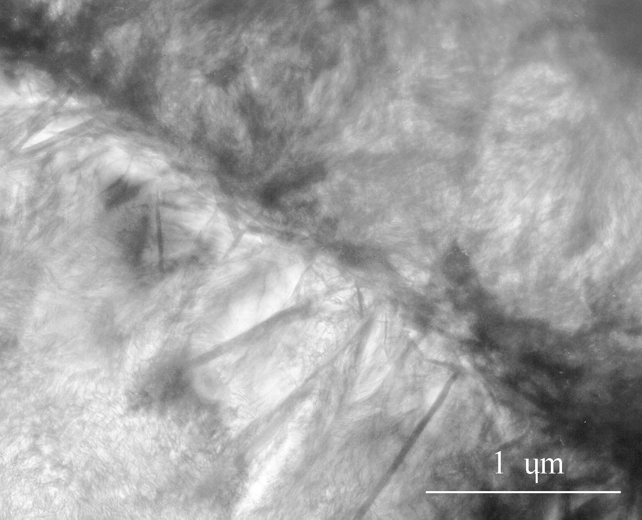 Transmission Electron Microscopy (TEM) | Concrete Microscopy Library ...