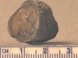 Clinker | Concrete Microscopy Library - University of Illinois at ...