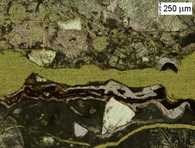 Fluorescent Microscopy | Concrete Microscopy Library - University of ...