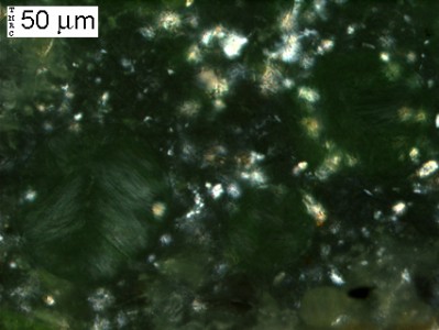 Fluorescent Microscopy | Concrete Microscopy Library - University of ...