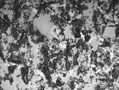 Specimen Preparation | Concrete Microscopy Library - University of ...