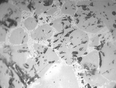 Specimen Preparation | Concrete Microscopy Library - University of ...