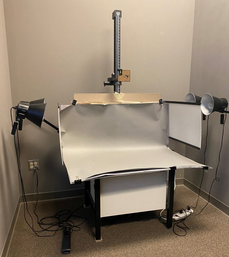 Lights, Camera, & More Lights: The Role of Lighting in Conservation ...