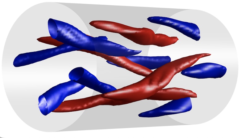 Publications – C. Ricardo Constante-Amores