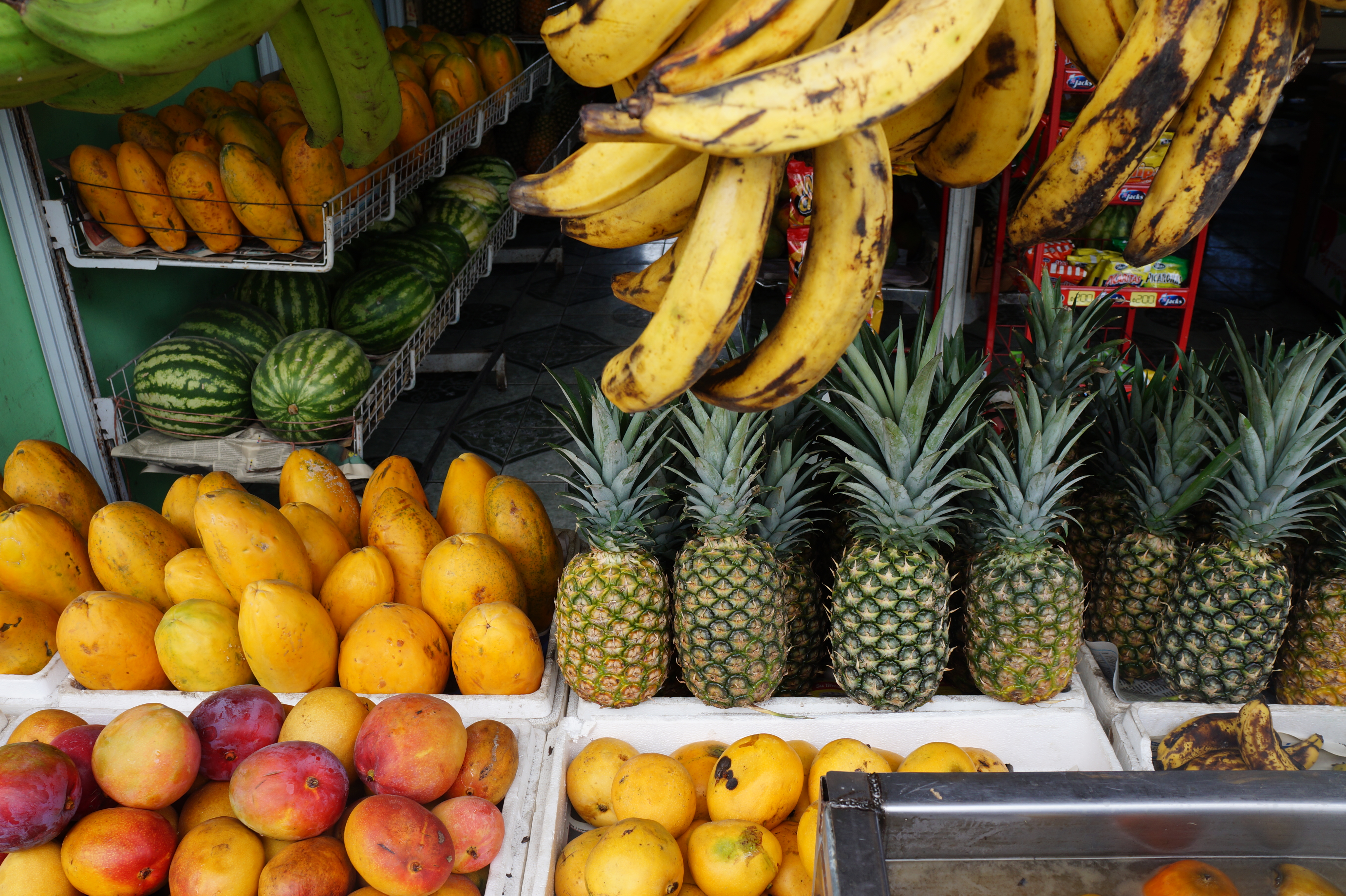 ~Costa Rican Farming~ » Tropical Fruit Market & Fruit Production in ...
