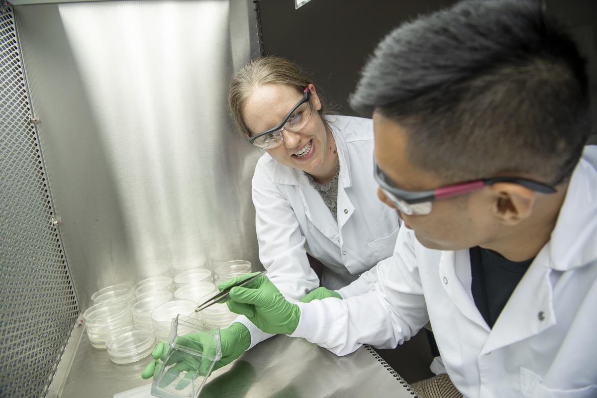 In the News – Hind Lab @ Crop Sciences