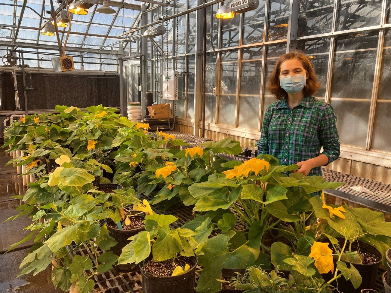 In the News – Hind Lab @ Crop Sciences