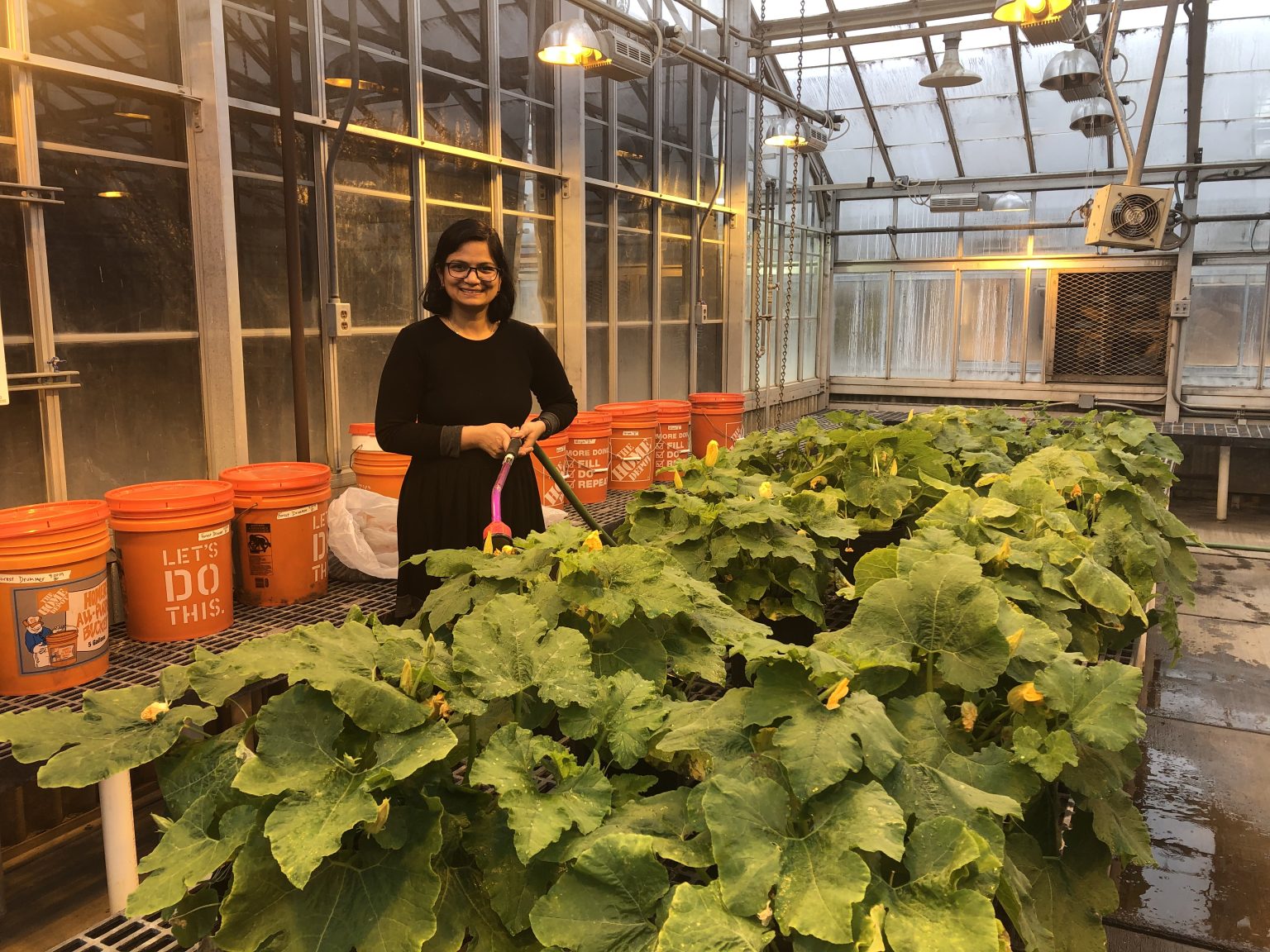 In the News – Hind Lab @ Crop Sciences