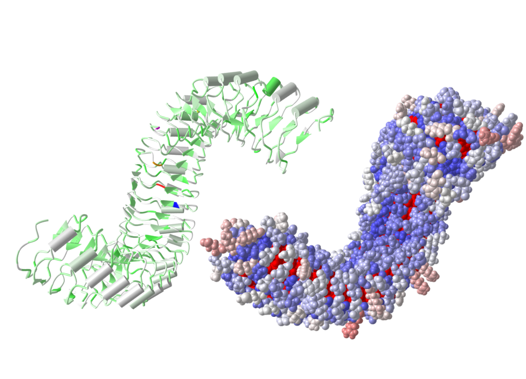 Research – Hind Lab @ Crop Sciences