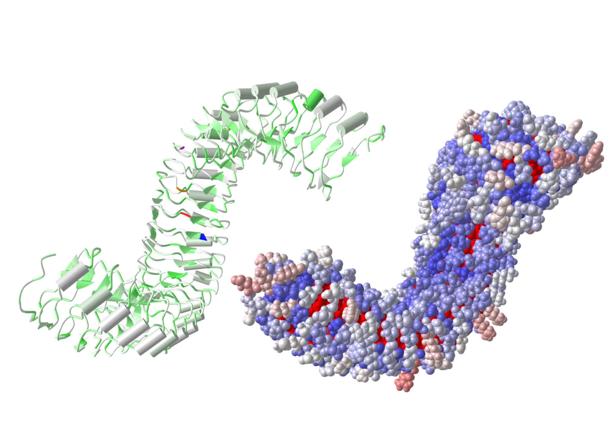 Research – Hind Lab @ Crop Sciences