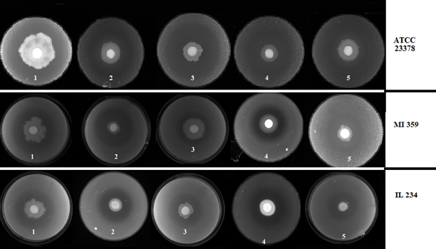 Research – Hind Lab @ Crop Sciences