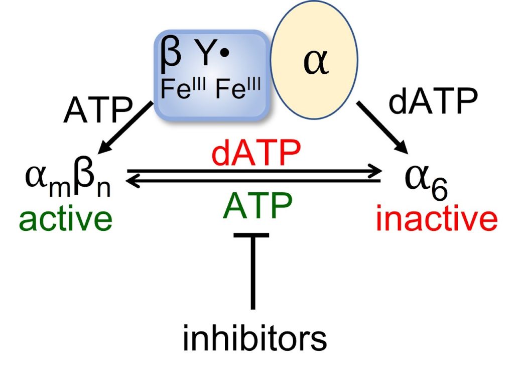 Research in the Cui Lab – Cui Lab