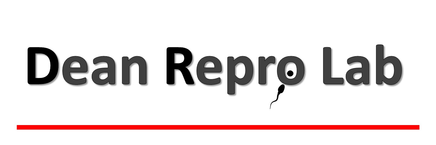 Lab Logo 2 | The Dean Repro Lab