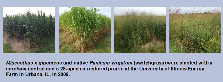 Land-use Change, Ecological Sustainability, and Bioenergy Production ...