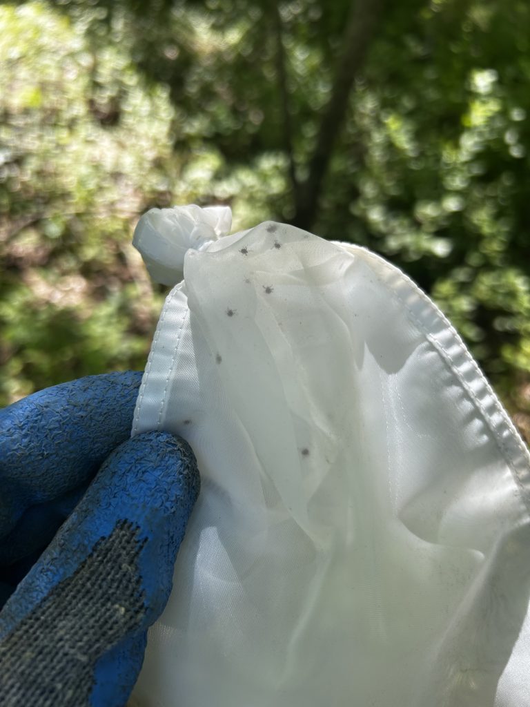 Research – Derek McFarland Jr.