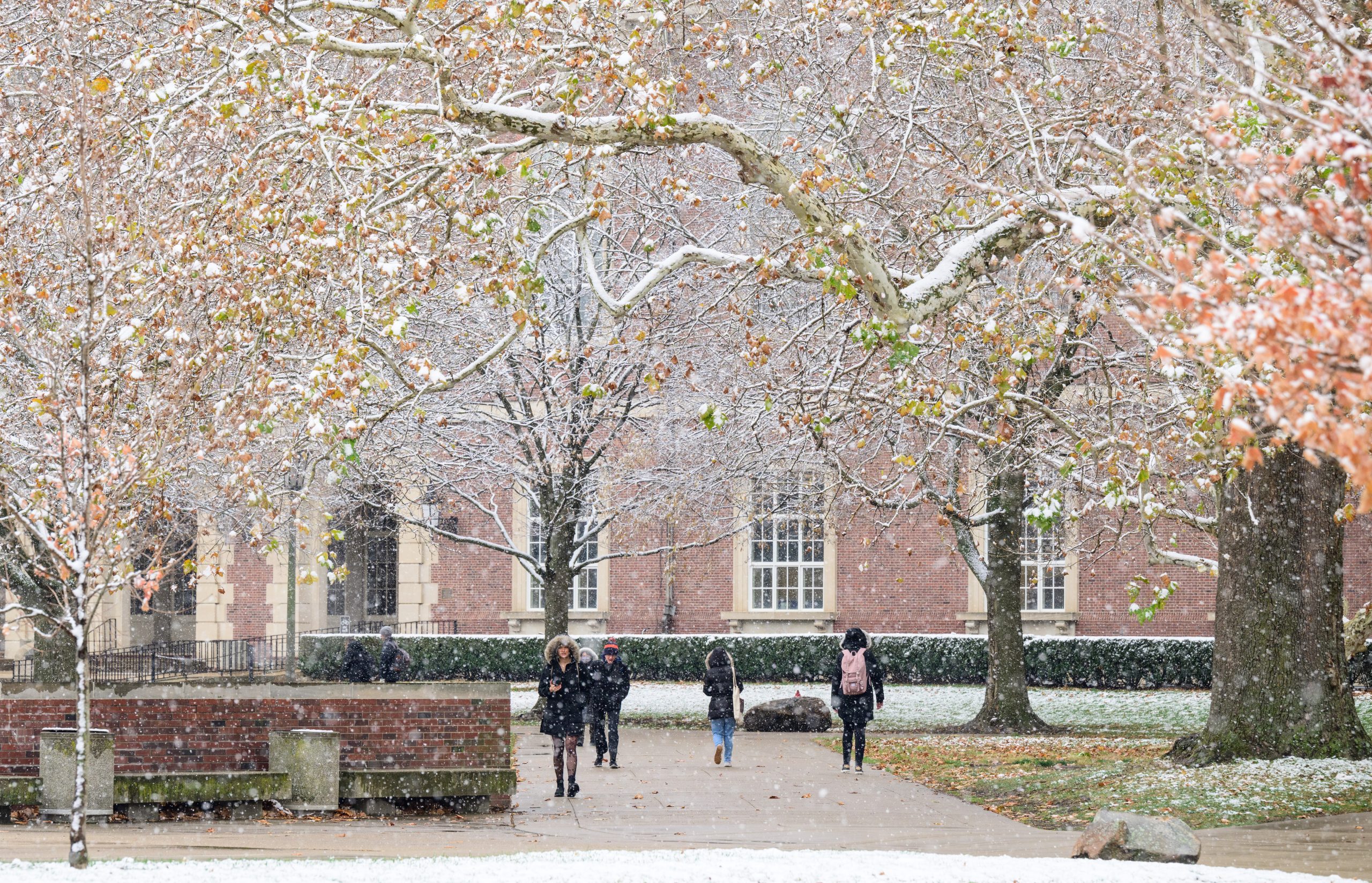 Welcome to the DEAR Lab – Digital Equity Action Research (DEAR) Lab