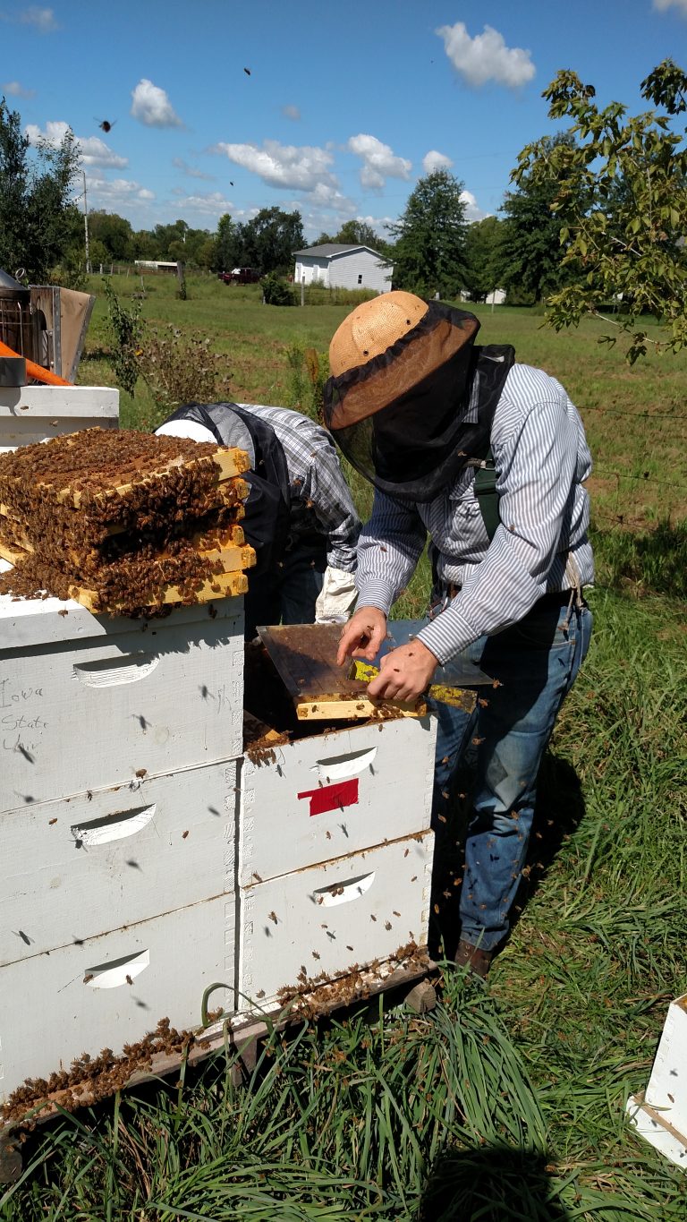 Research – The Dolezal Bee Research Lab