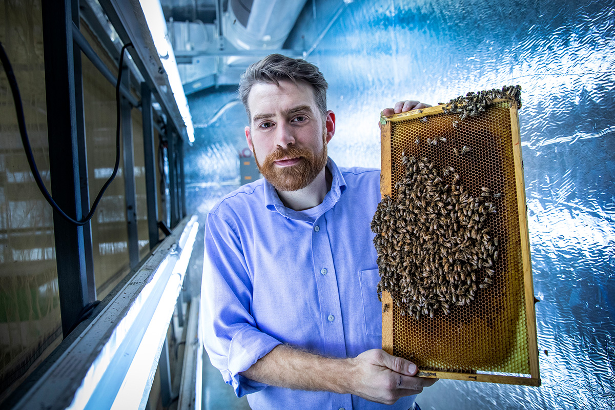 People – The Dolezal Bee Research Lab