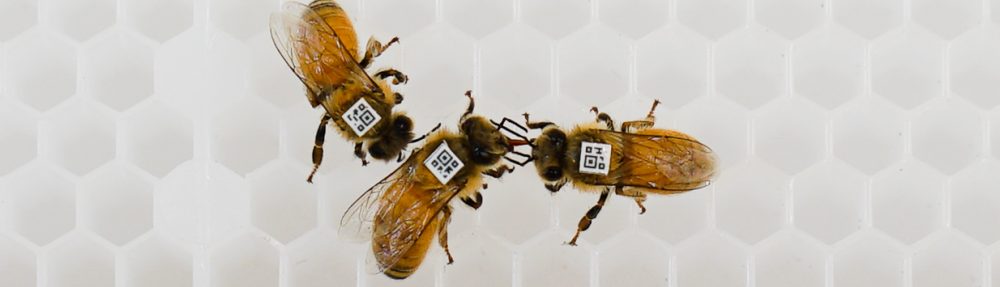 People | The Dolezal Bee Research Lab - University of Illinois at ...