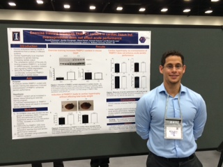 Gallery | Exercise and Stem Cell Physiology Laboratory - University of ...