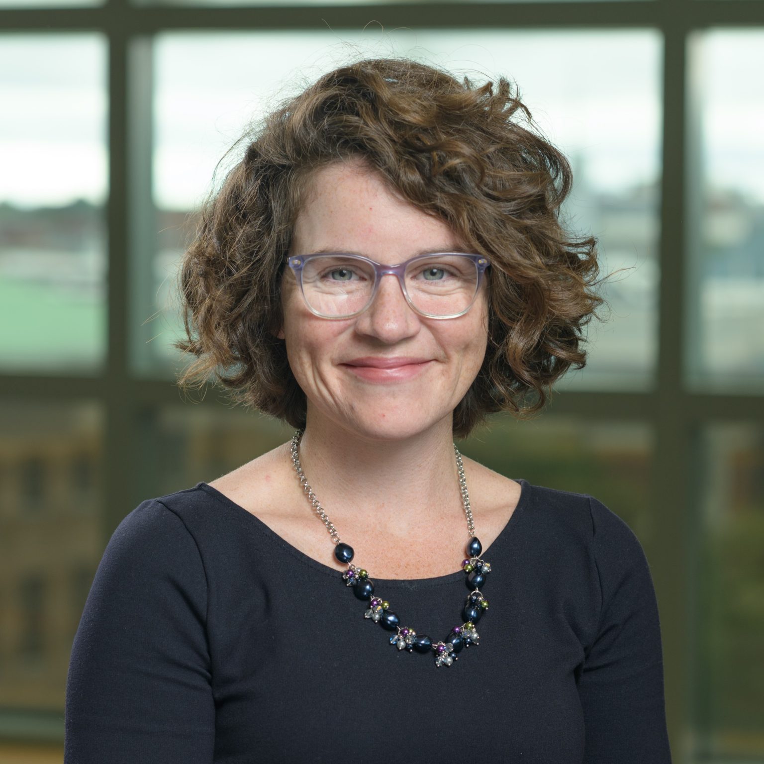 Meet the Team – Illinois Health Evaluation Collaborative