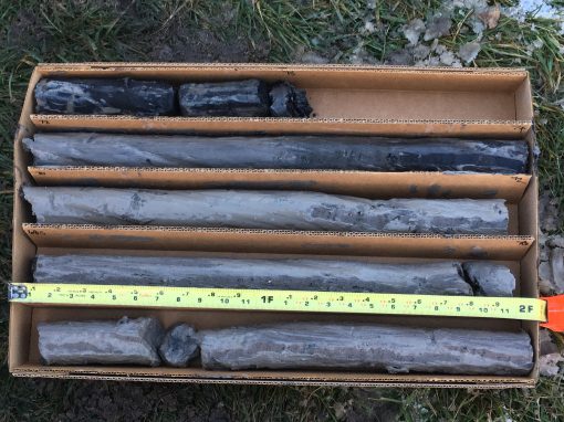 Tugce Baser – Page 2 – GeoReL