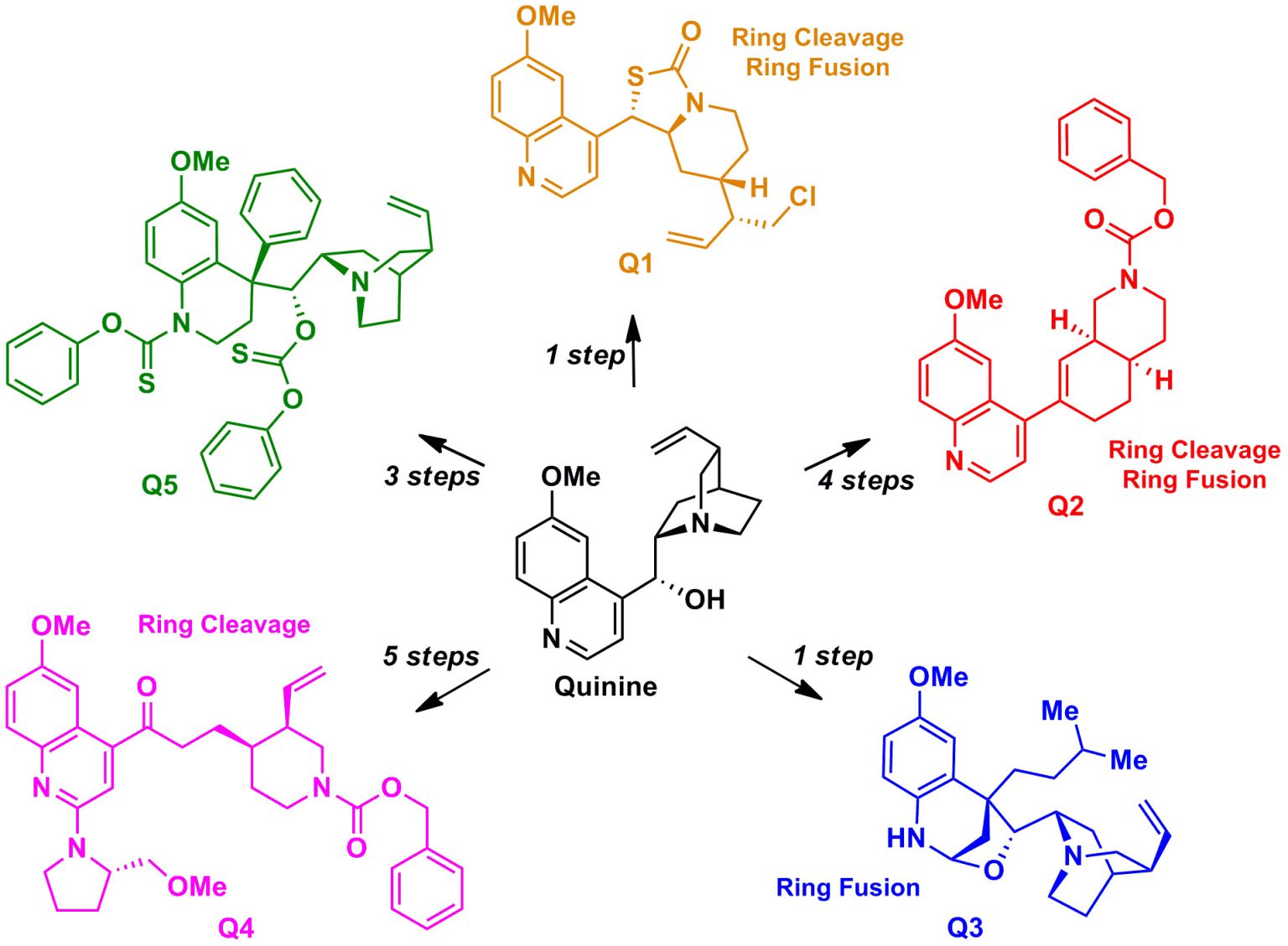 Complex Molecule Synthesis – Hergenrother Lab